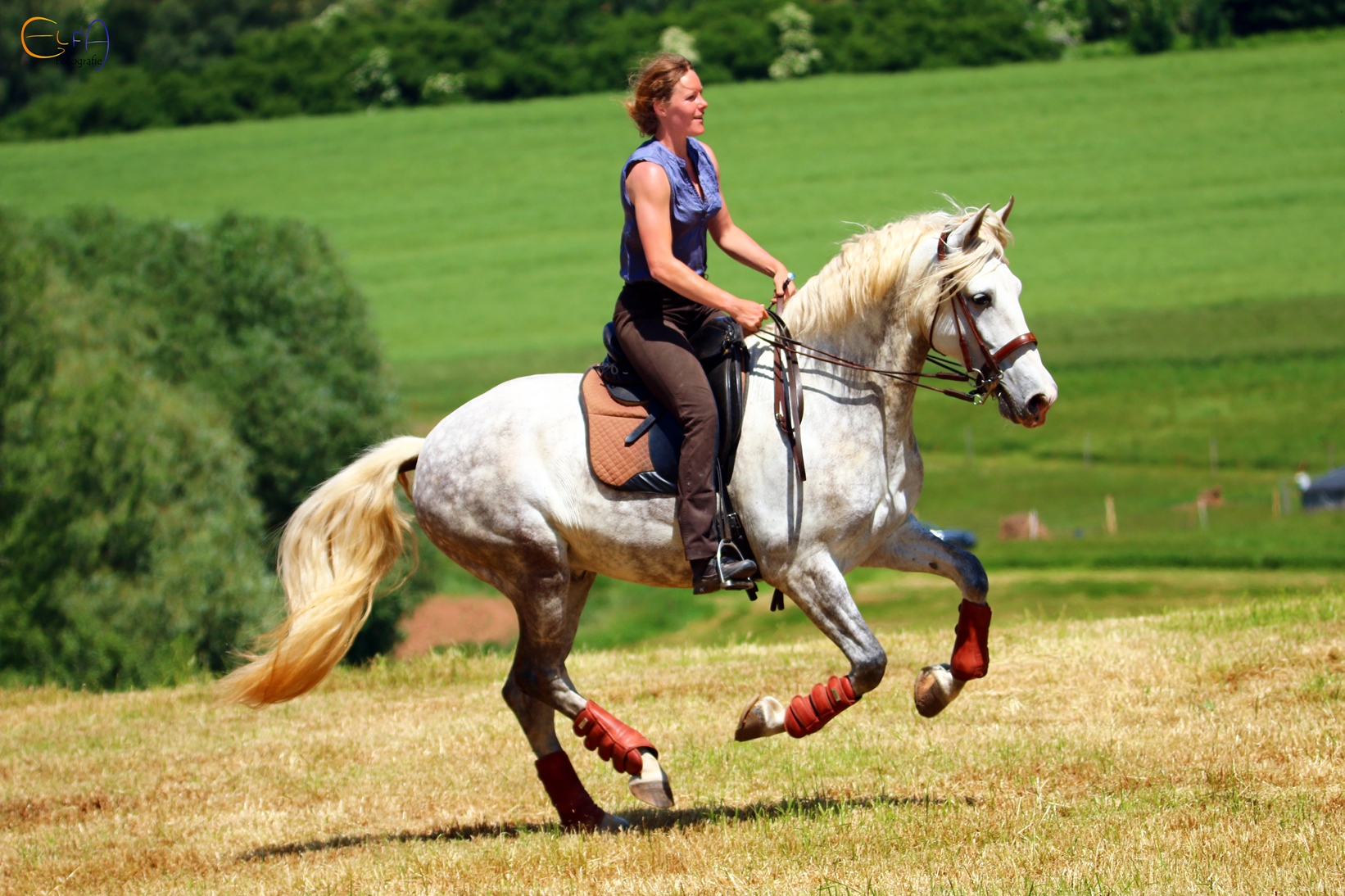Das Holistic Horse Festival auf Gut Mischenried